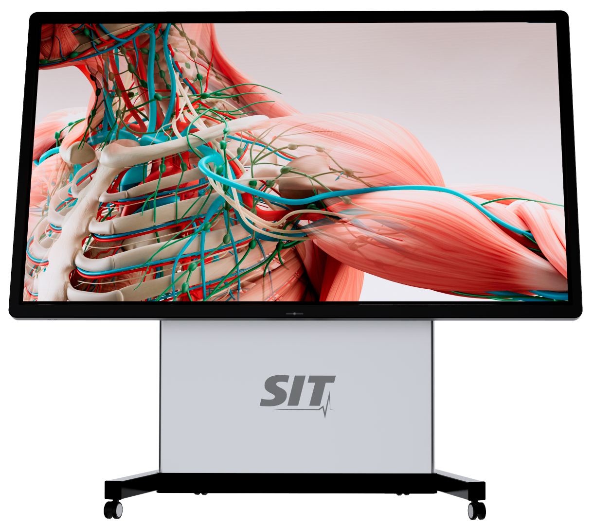SIT HEALTH - Soluciones Médicas Virtuales