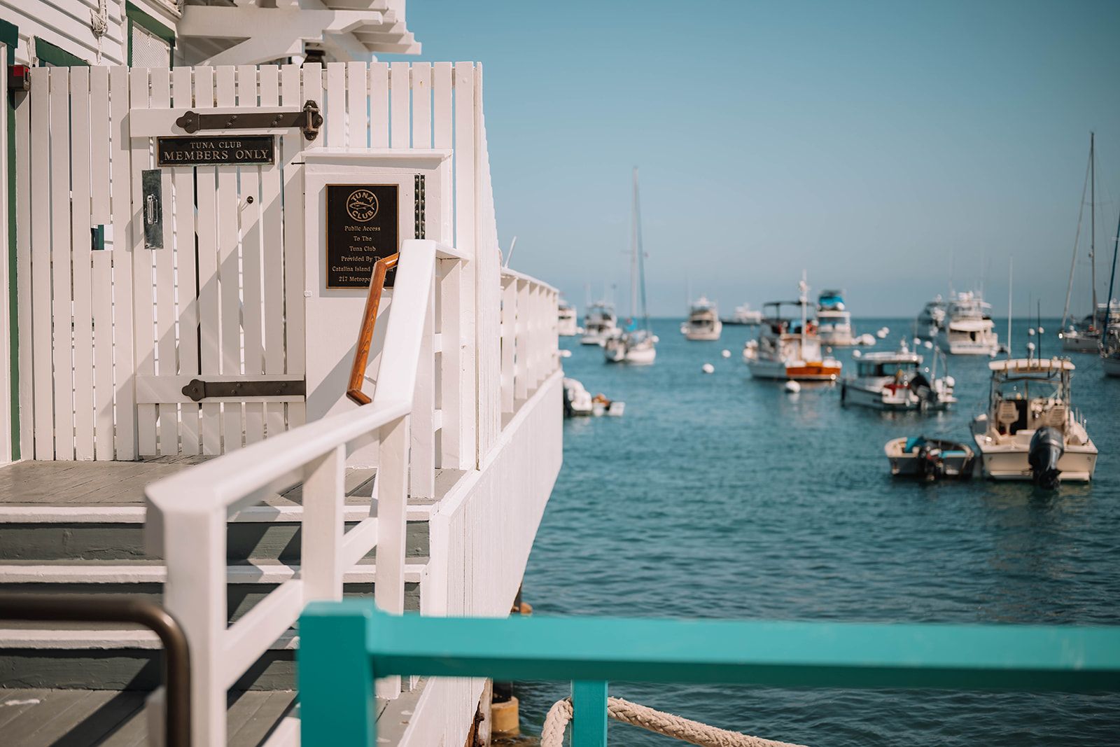 Discover the History of The Edgewater | The Edgewater