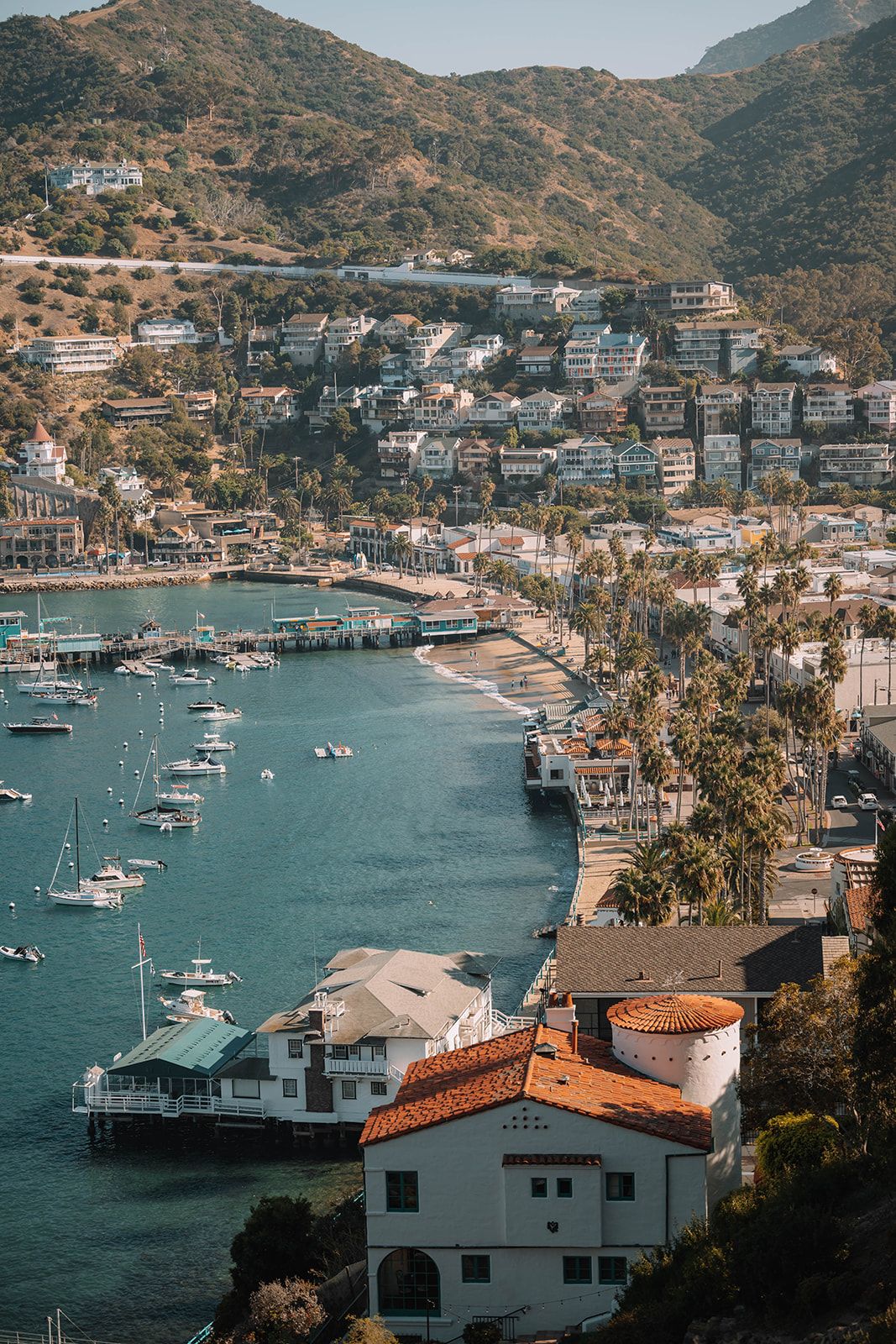 Discover the History of The Edgewater | The Edgewater