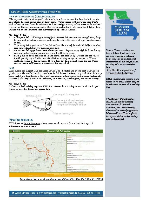 Spring 2025 Newsletter | Missouri Stream Team