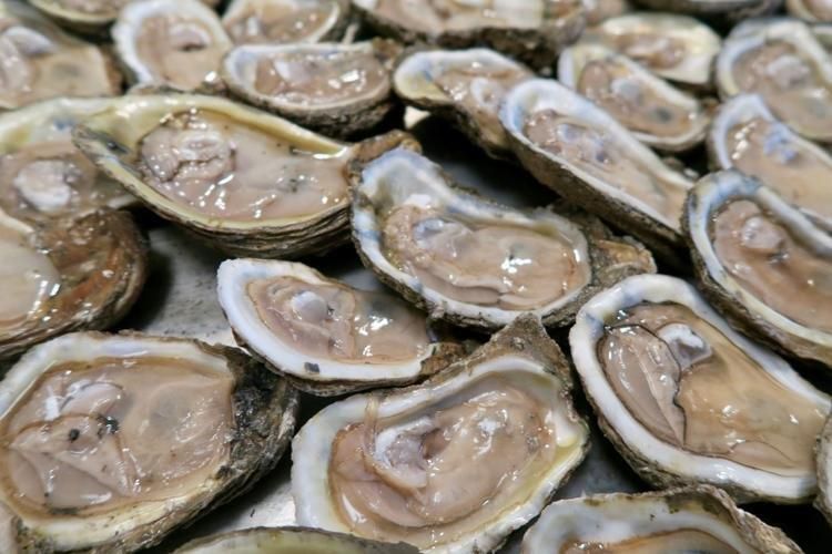 Fresh Seafood | Denham Springs, LA | Ron's Seafood Market