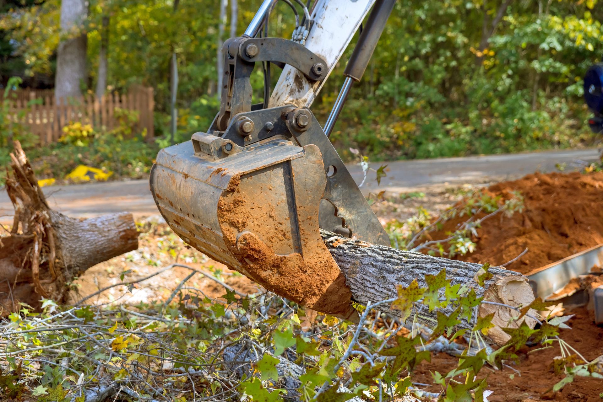 Professional Land Clearing & Tree Services | Dekalb Brush Enforcement ...