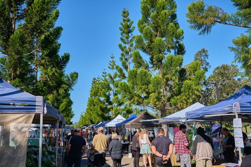 Welcome to Springfield Markets