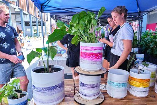 Welcome to Springfield Markets