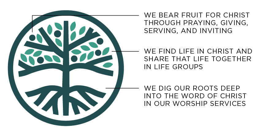 Roots Life Fruit | The Orchard