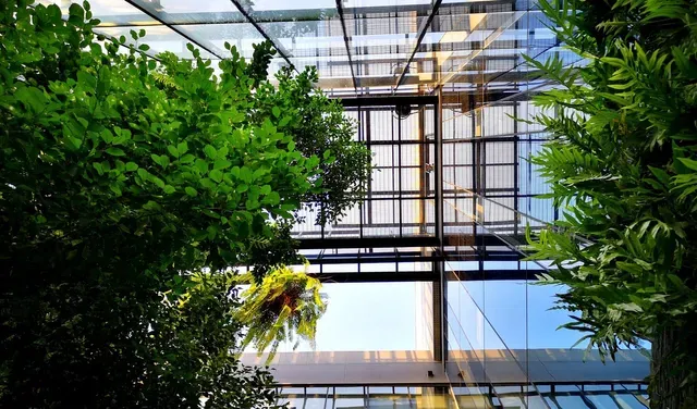 Biophilic Design - Buildings that heal