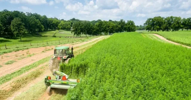 Next Gen Eco Materials 3 - Hemp Rebar