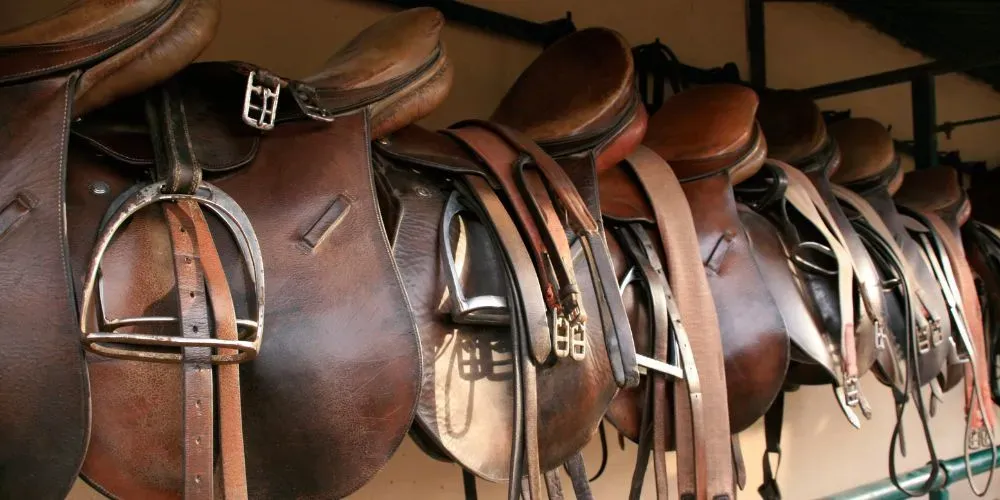 6 Most Popular English Saddles