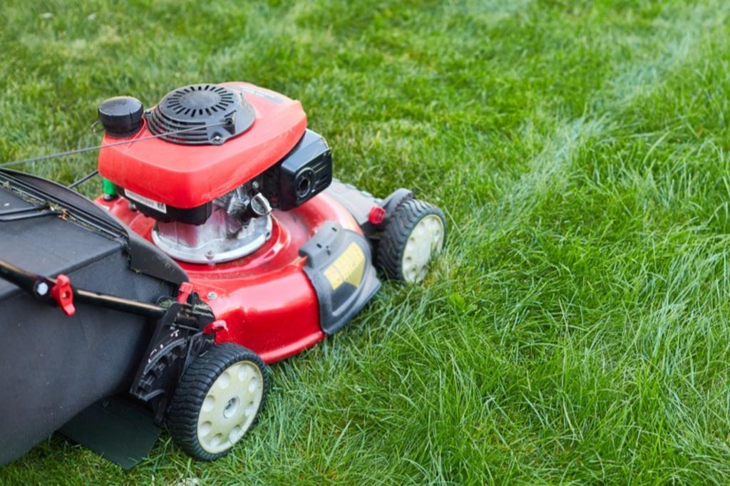 Diamond Cut Landscaping Service - Top Rated Lawn Care Service ...