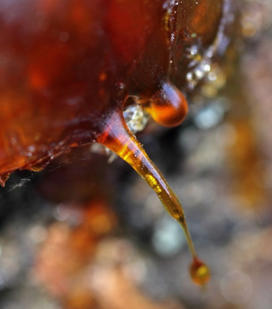 Resin Environmental Impact and Sustainable Alternatives | Vertec