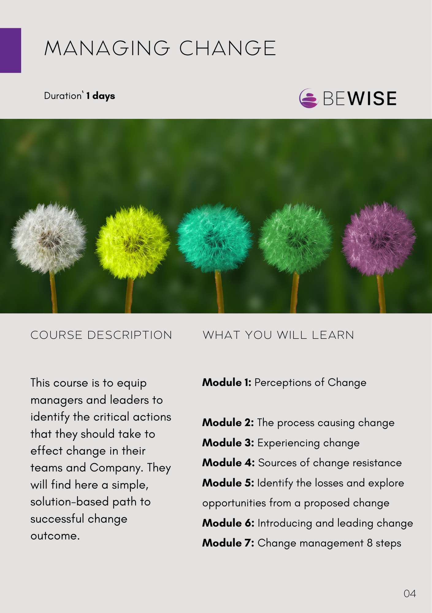 BeWise Academy