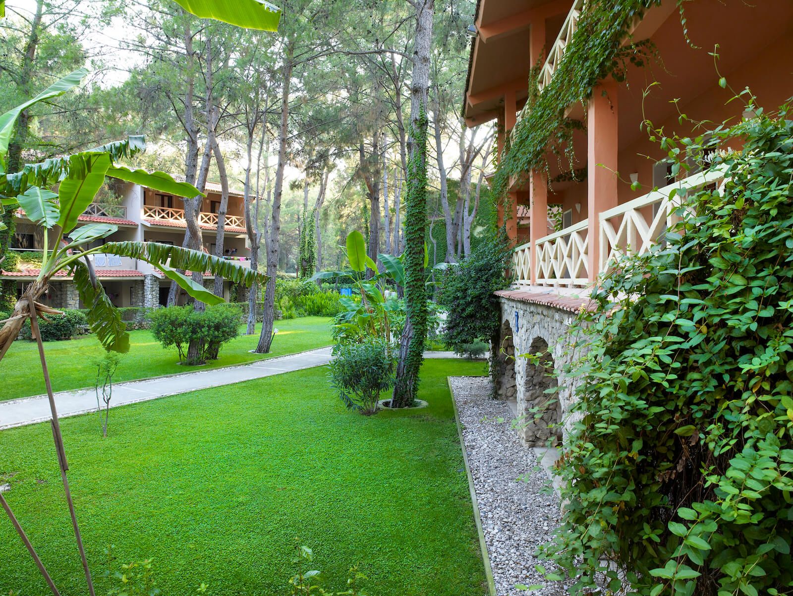 Martı Myra | Gallery