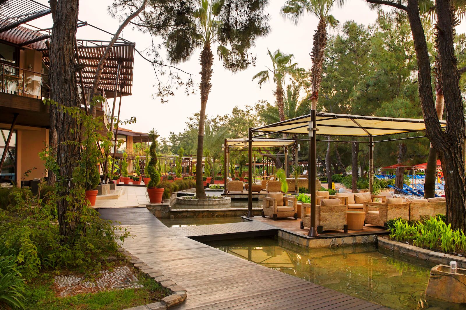 Martı Myra | Gallery