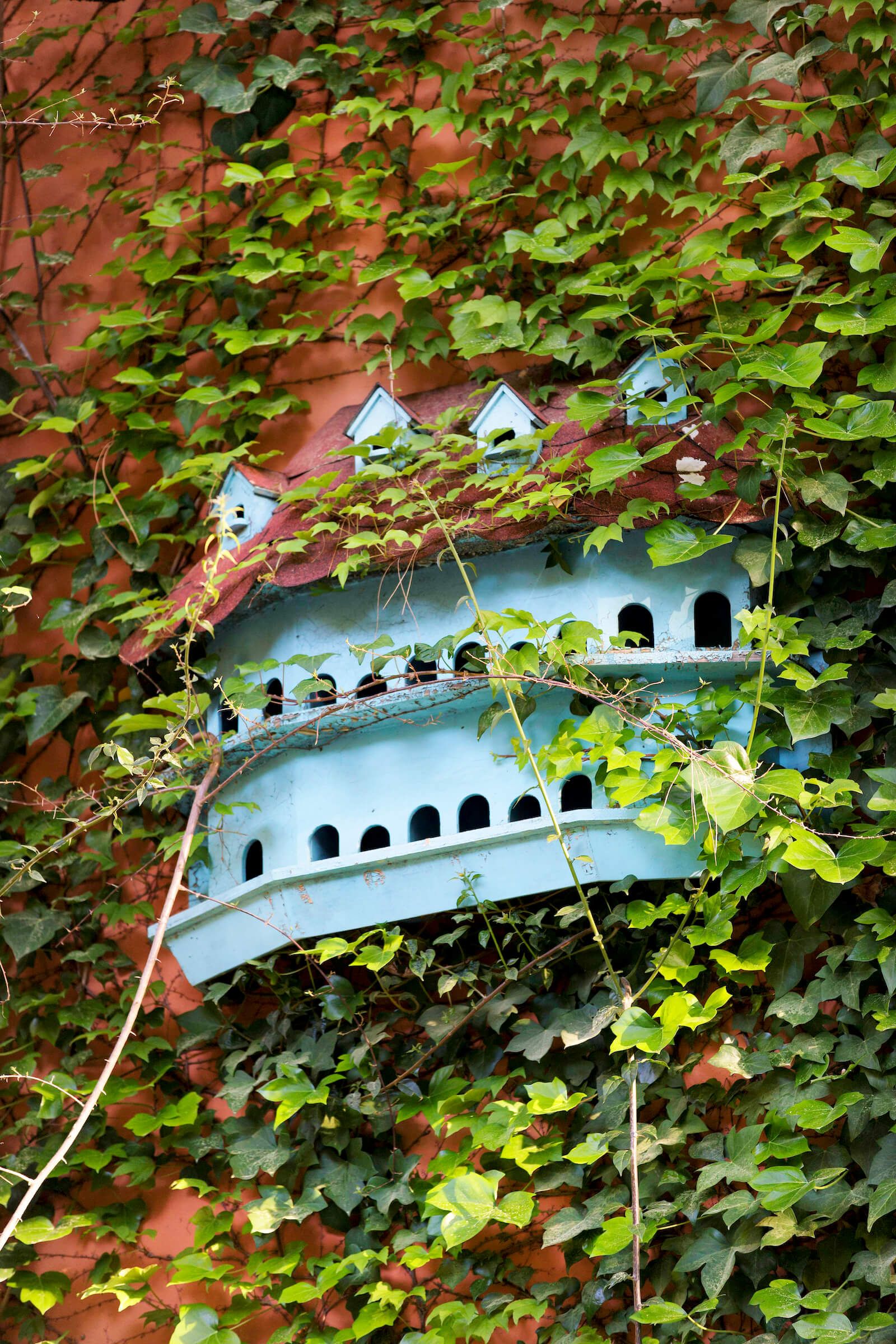 Martı Myra | Gallery