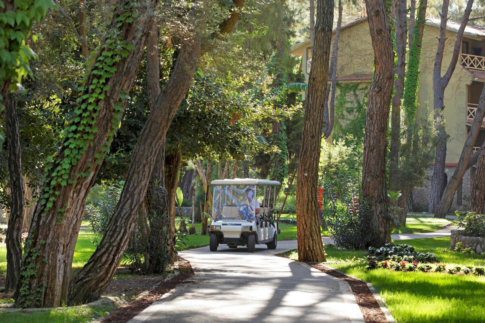 Martı Myra | Gallery