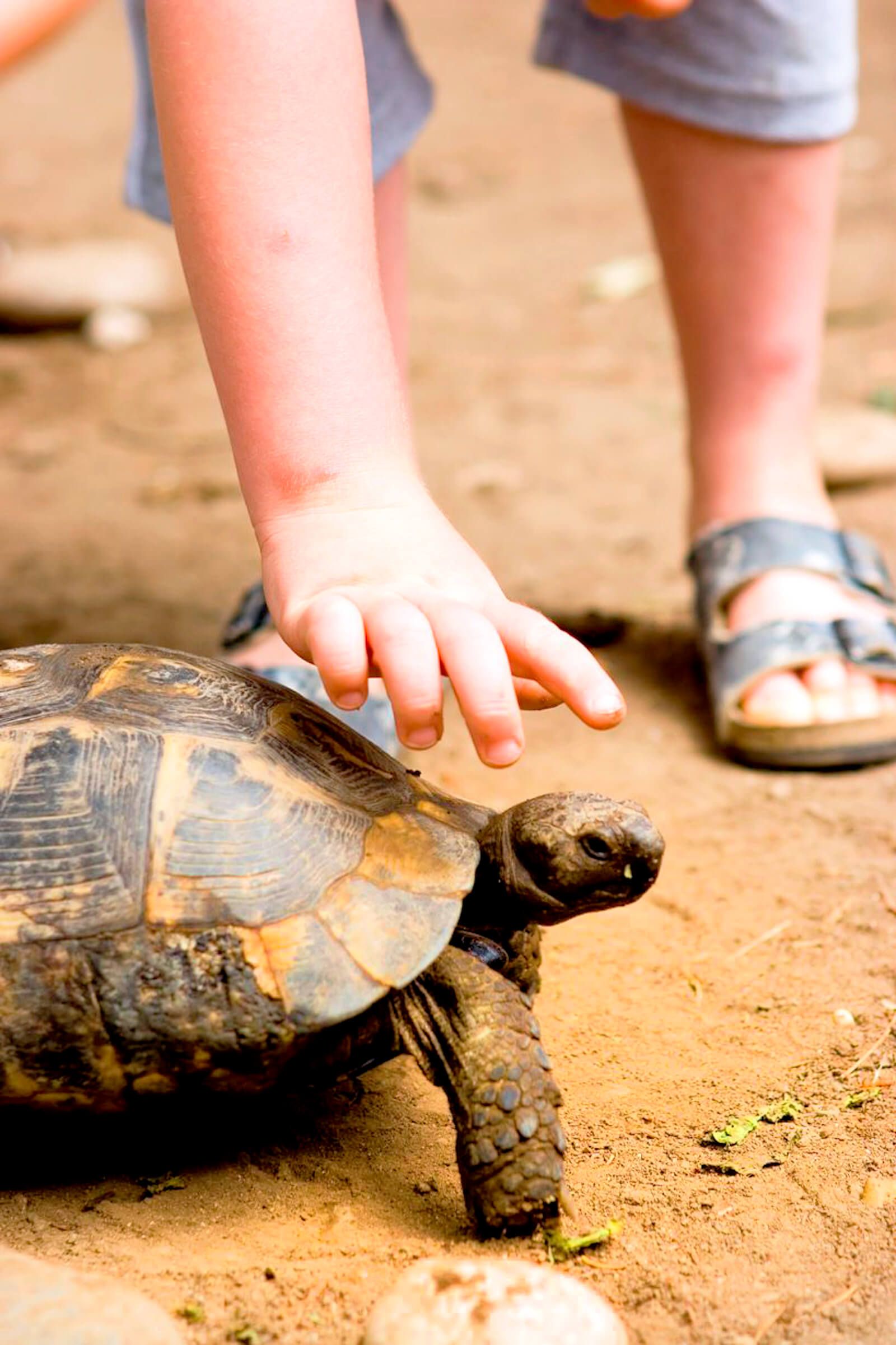 Martı Myra | Gallery