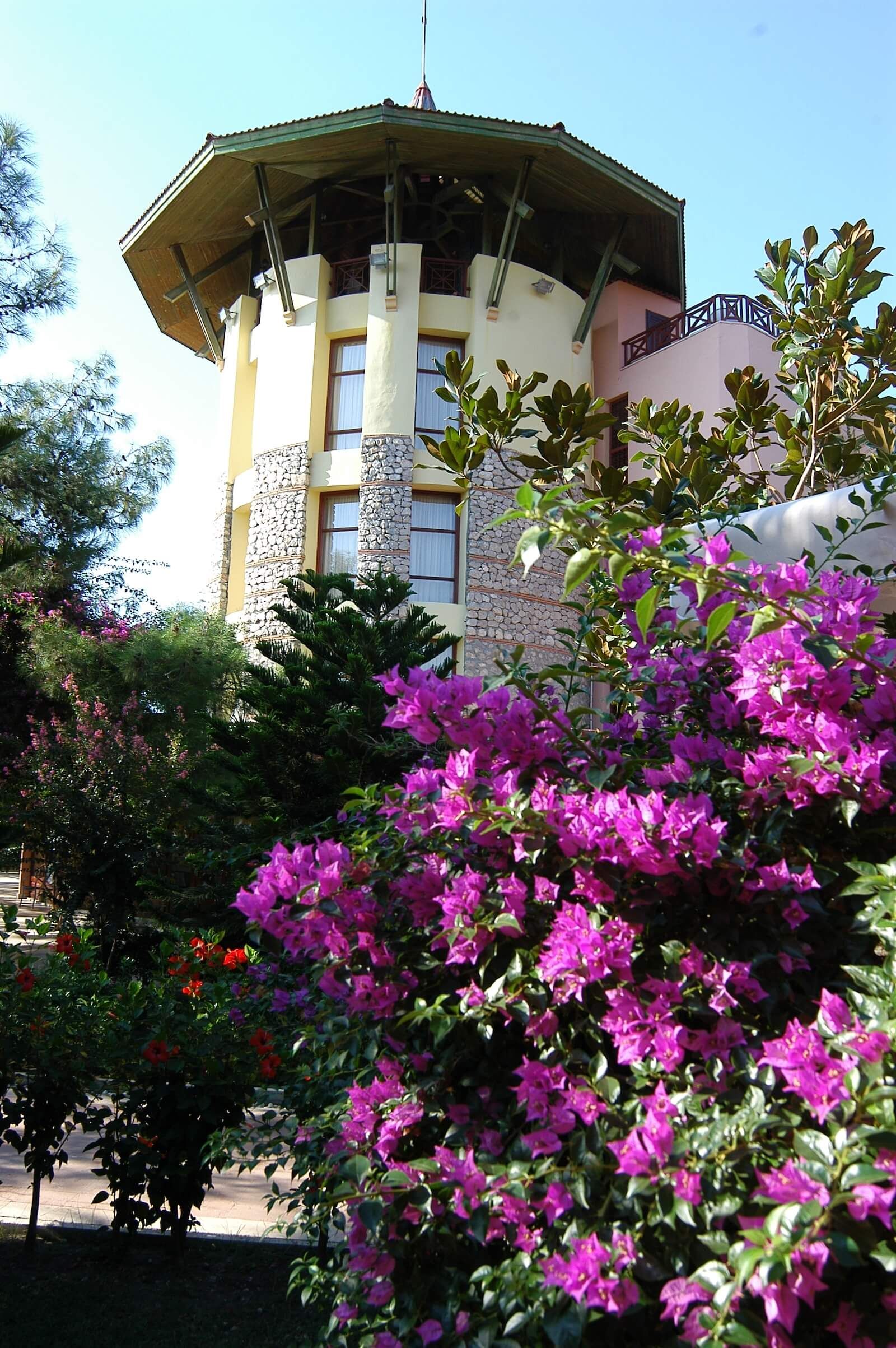 Martı Myra | Gallery