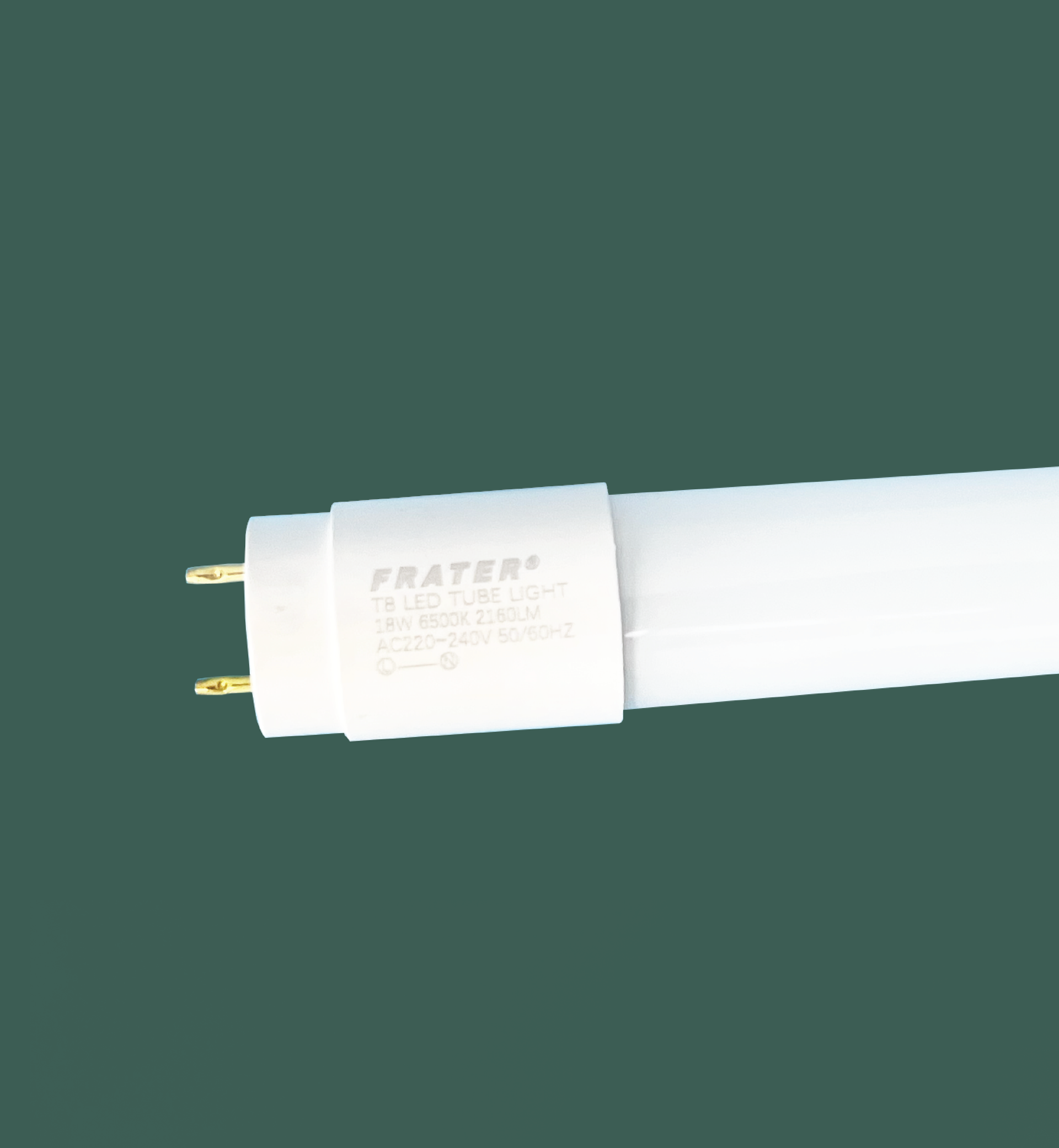 Frater Lighting - AW Rostamani | Frater ECO