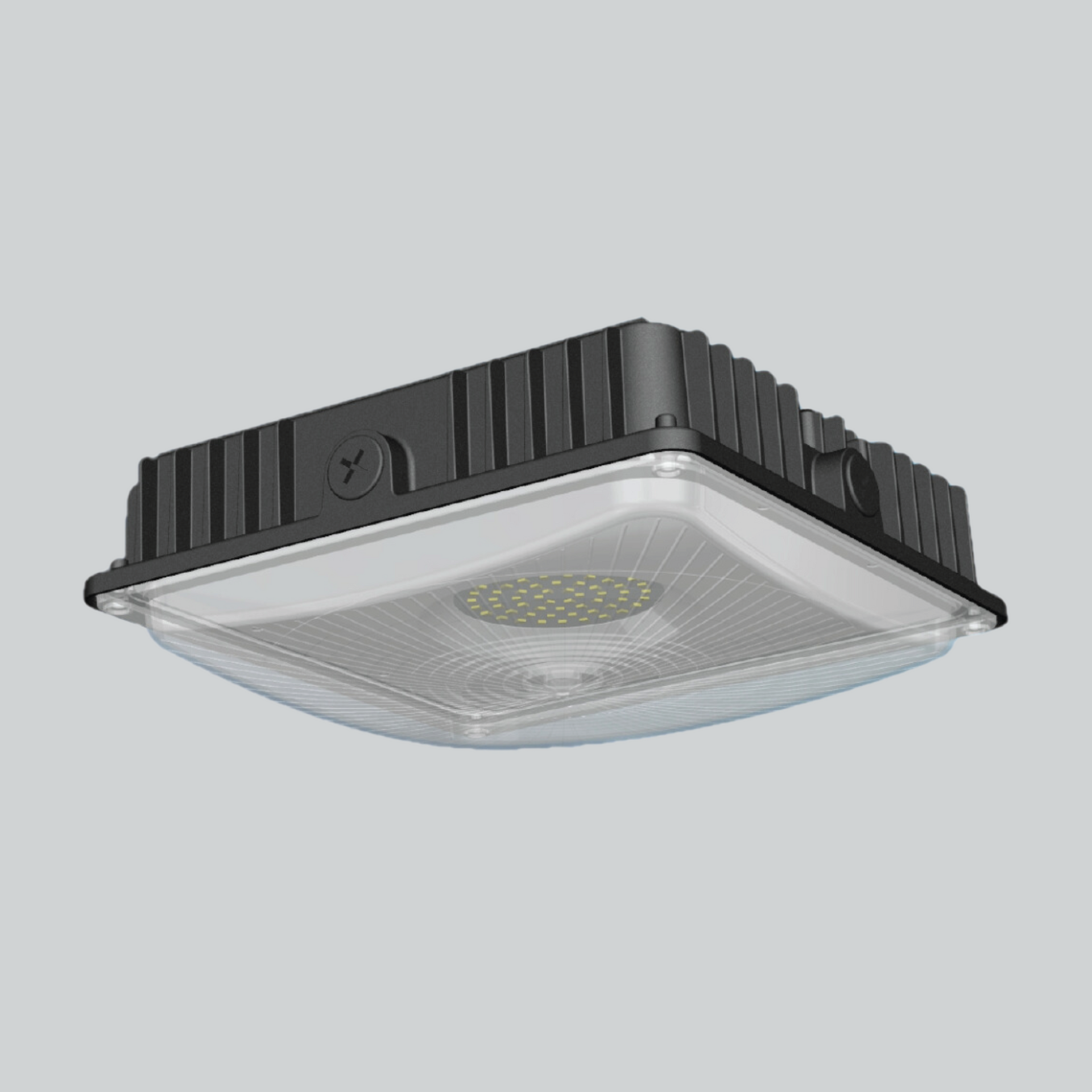 CANOPY LIGHT | Frater Lighting - AW Rostamani