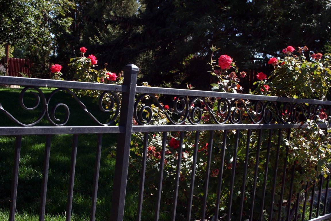 Fencing Contractor | Sparks, NV| Tholl Fence, Inc.