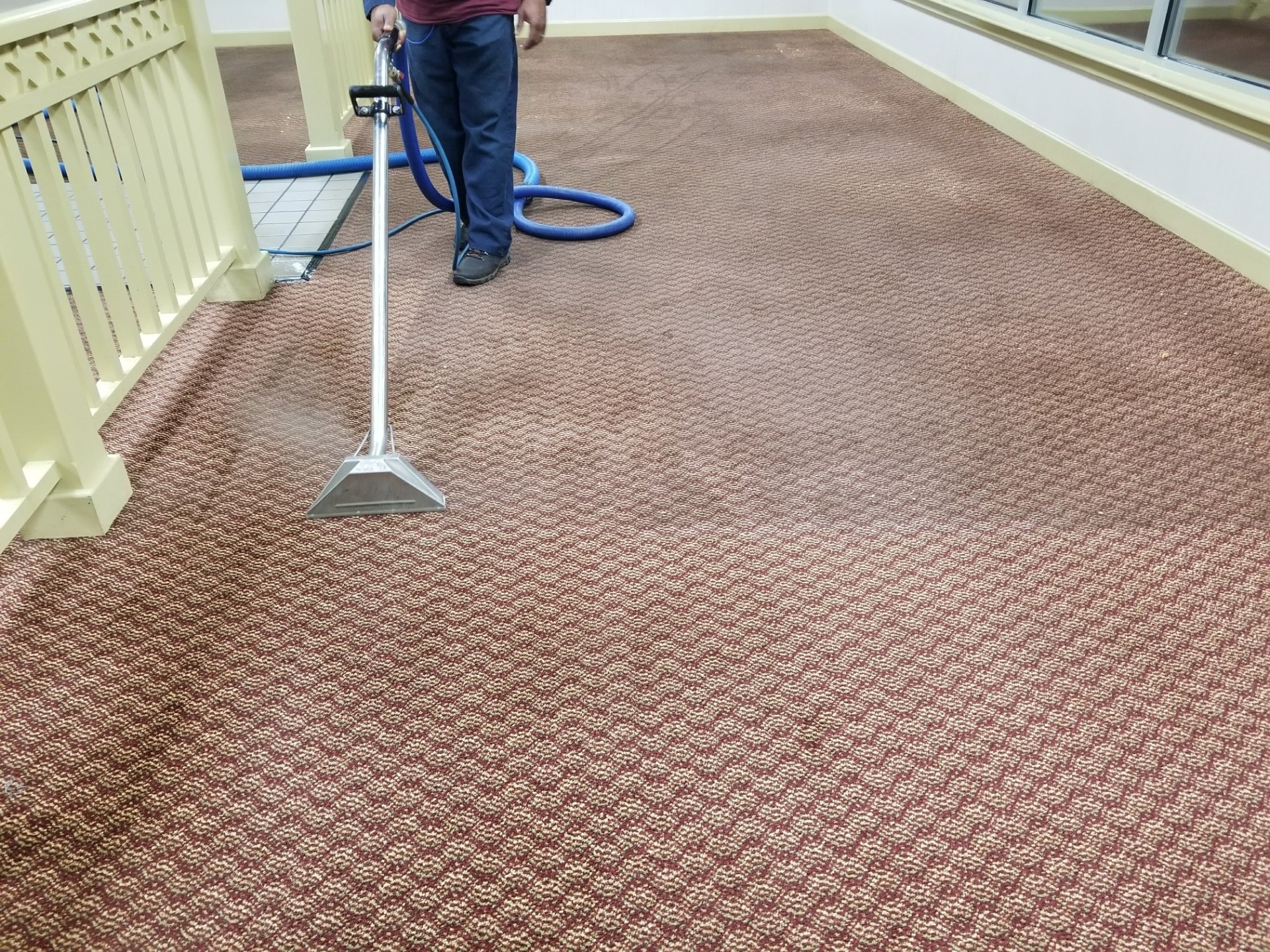 Commercial Carpet Cleaning | Raleigh-Durham