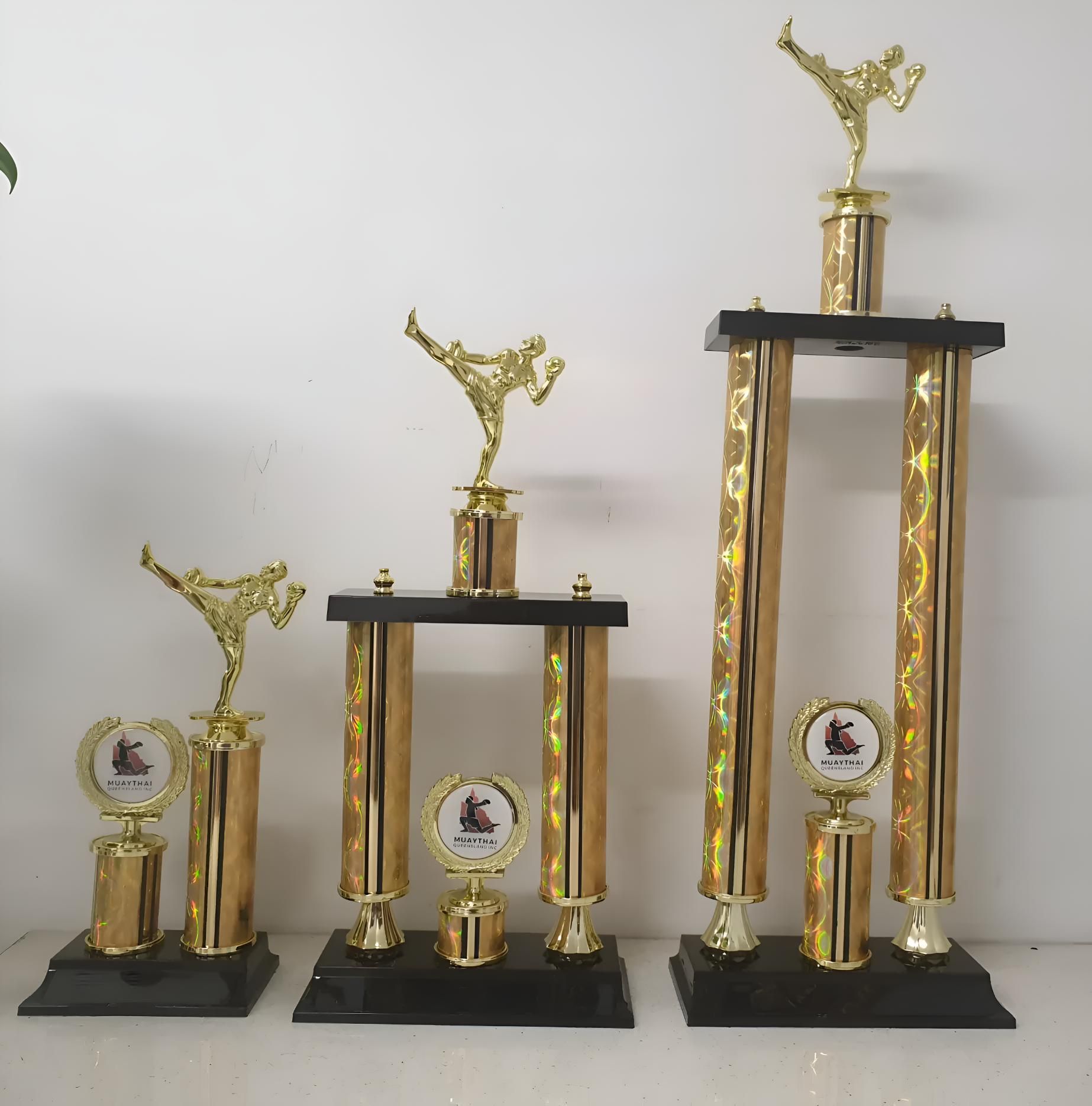 Custom Trophies in Mackay | Ace Wholesale Trophies & Engraving