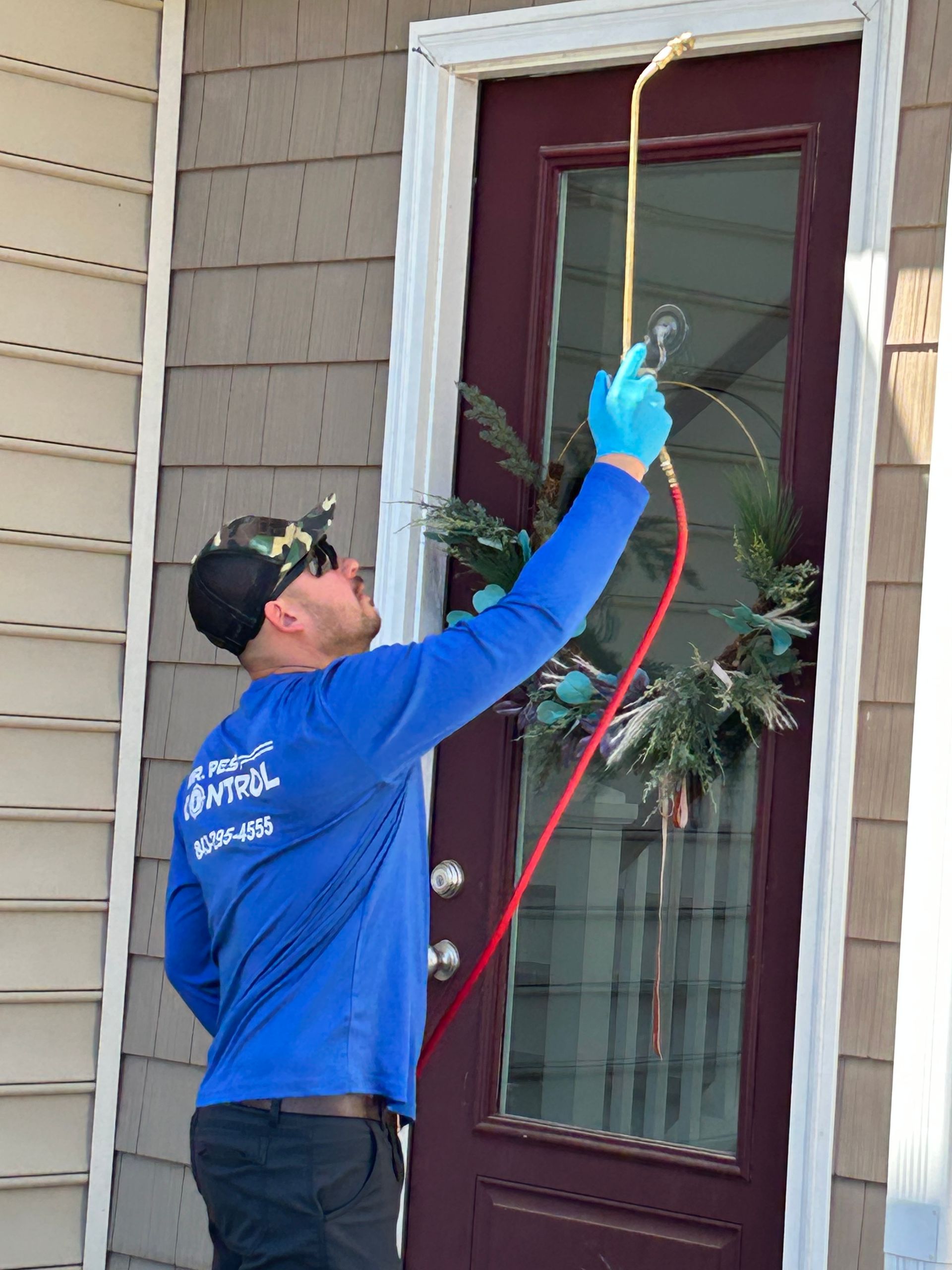 Pest Control and Exterminator Services Bluffton, SC | Mr. Pest Control