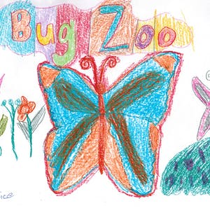 Gallery | Victoria Bug Zoo