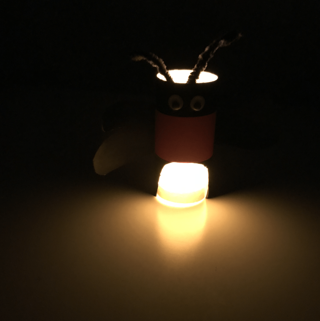 DIY Firefly Lanterns