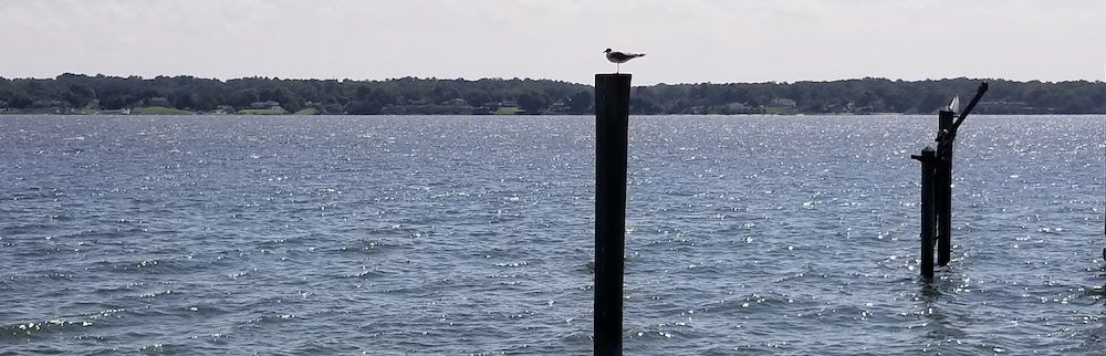 Marine Pile Installation in Southern MD