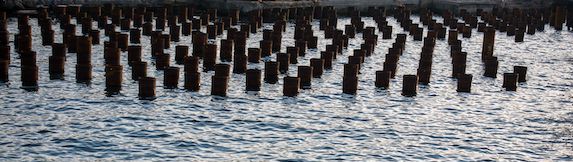 Understanding Pilings: Backbone of Piers and Bulkheads
