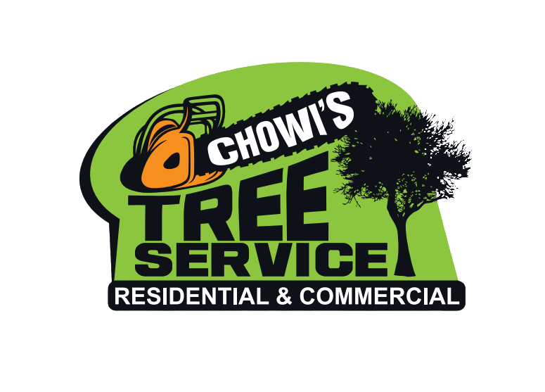 Home | Chowi's Tree Service | Little Rock, AR