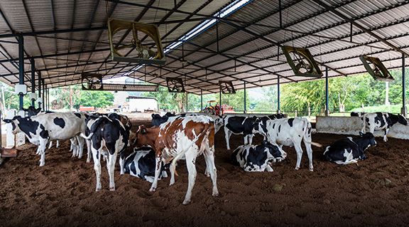 Dripstop™ - Maneira mais rápida e fácil de combater a condensação