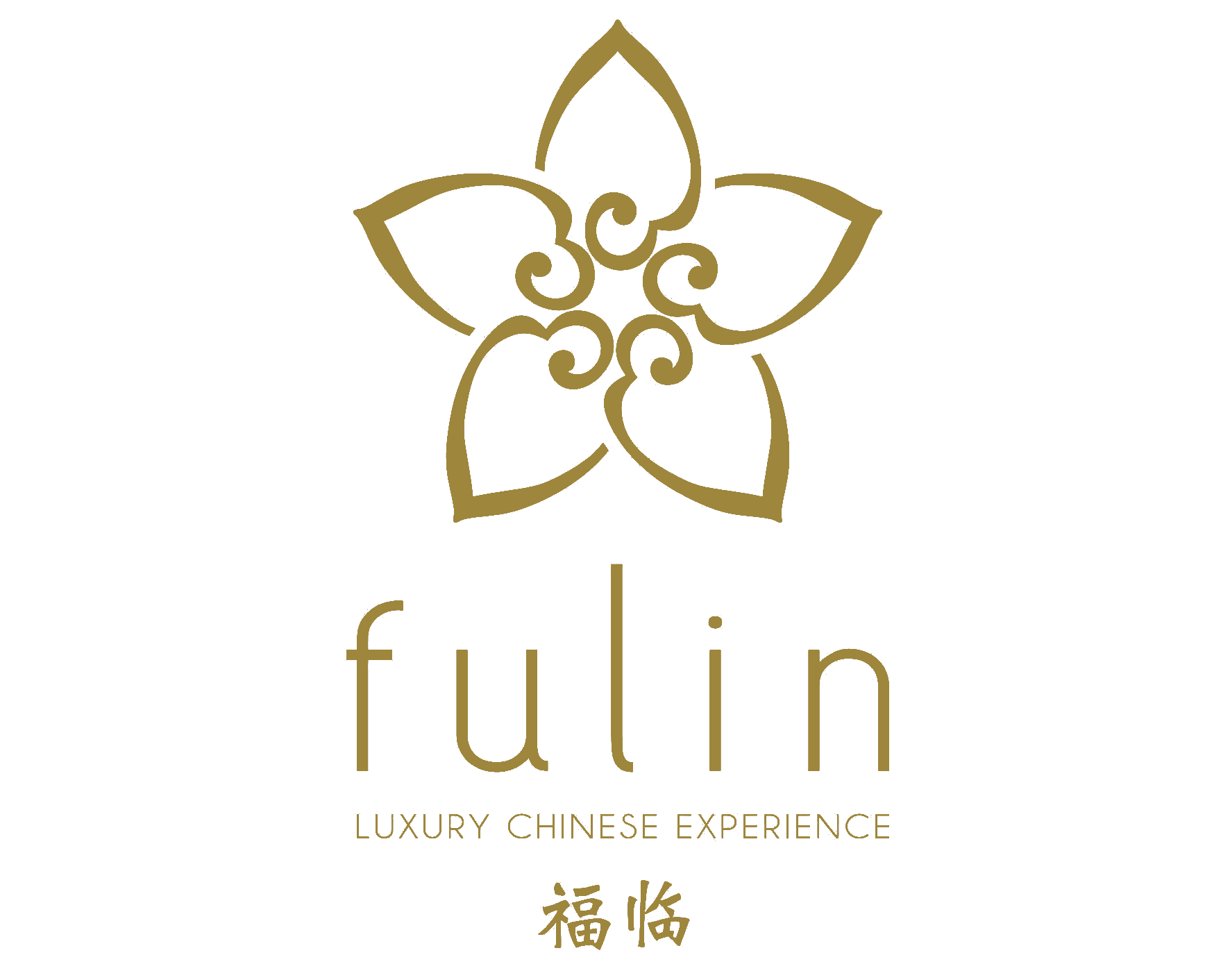 Ristorante cinese | Firenze (Fi) | Fulin