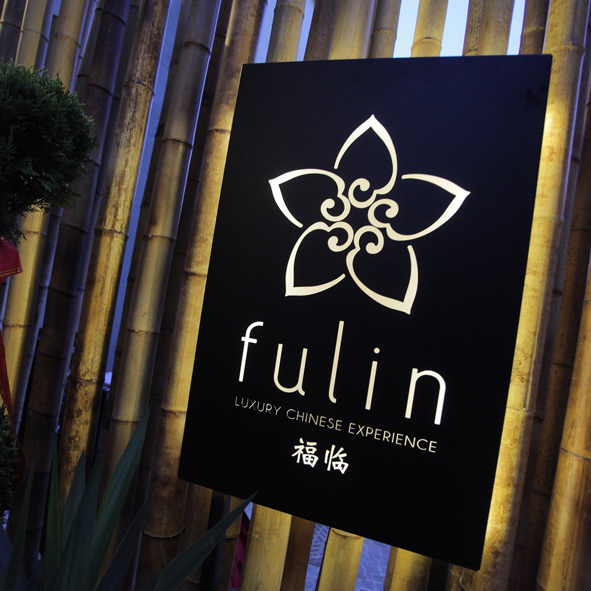 Ristorante cinese | Firenze (Fi) | Fulin