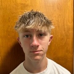 The Force Effect Newsletter - December 2024 Edition