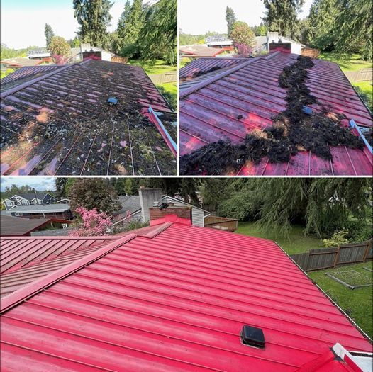 Gutter Installation & Roof Cleaning | NW WINDOW GUTTER | Seattle