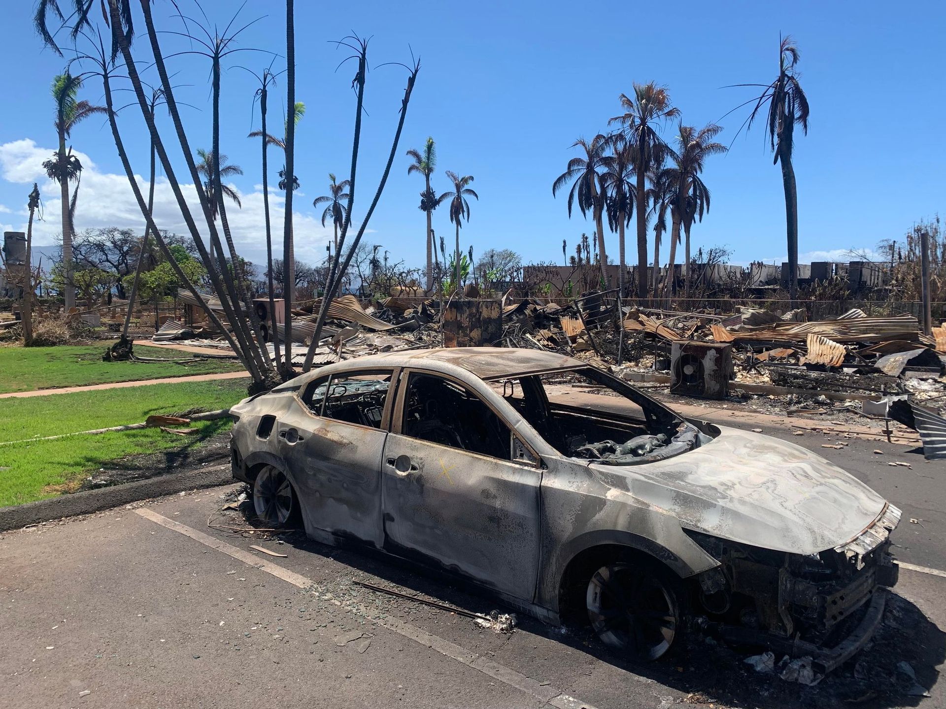 Maui Disaster Relief