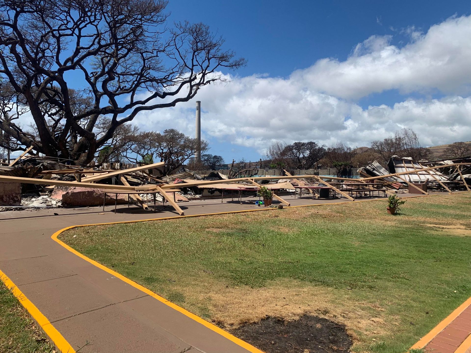 Maui Disaster Relief