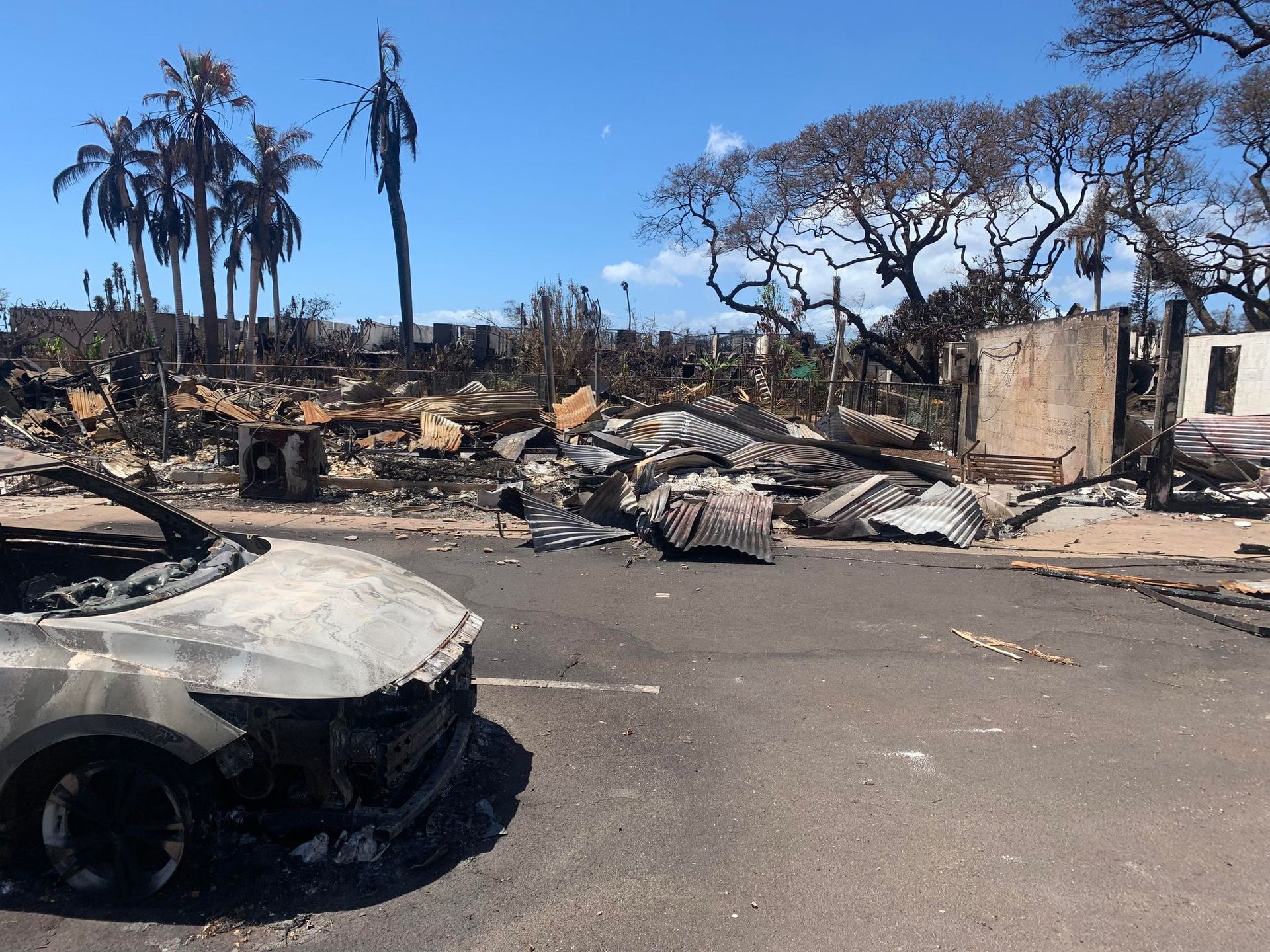 Maui Disaster Relief