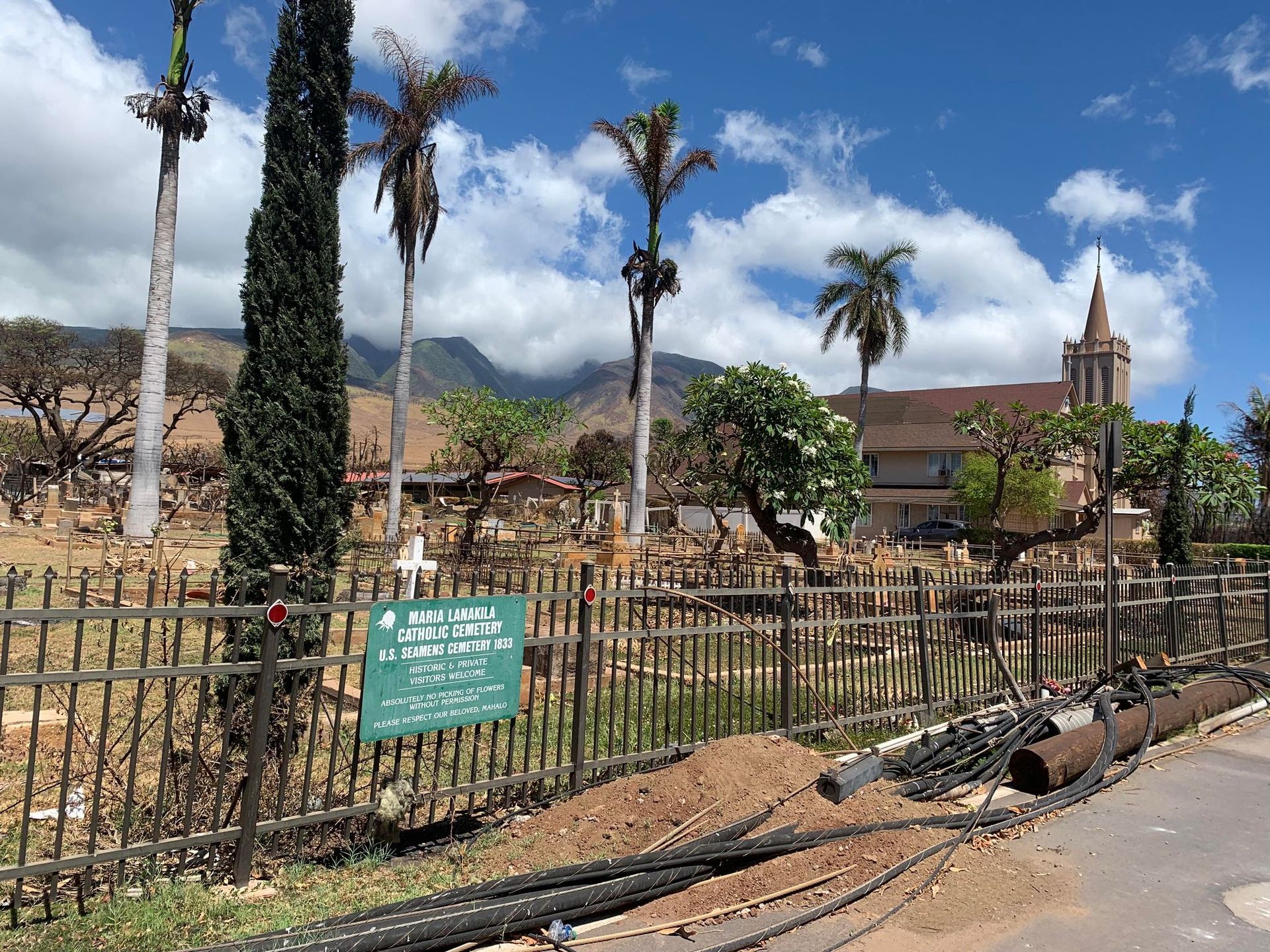 Maui Disaster Relief