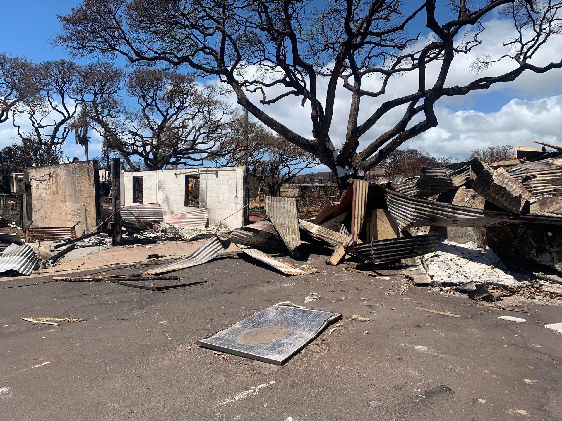 Maui Disaster Relief