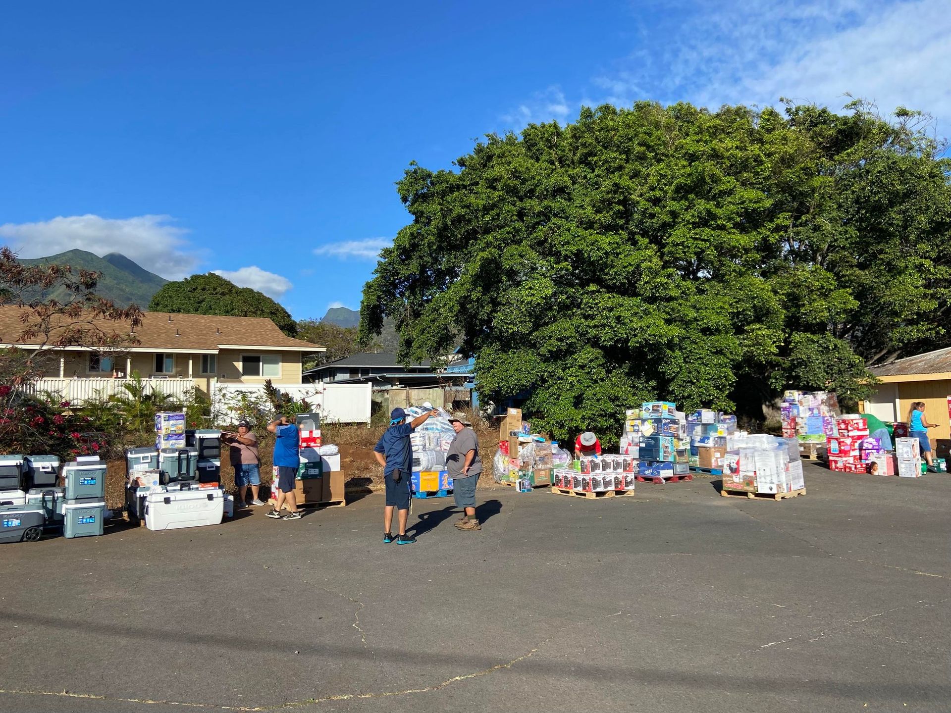 Maui Disaster Relief