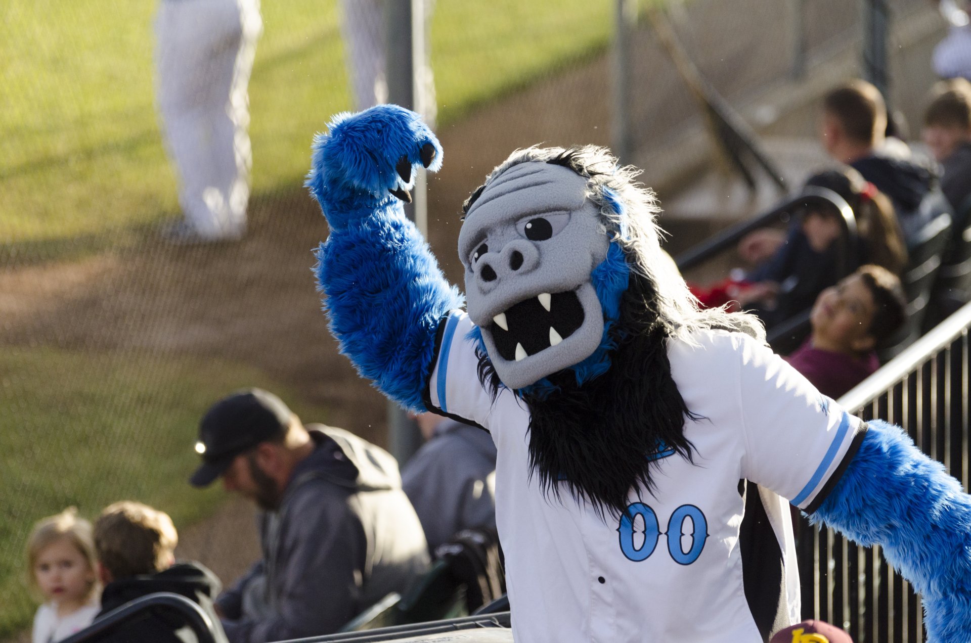 Staff| Spearfish, SD | Spearfish Sasquatch Baseball