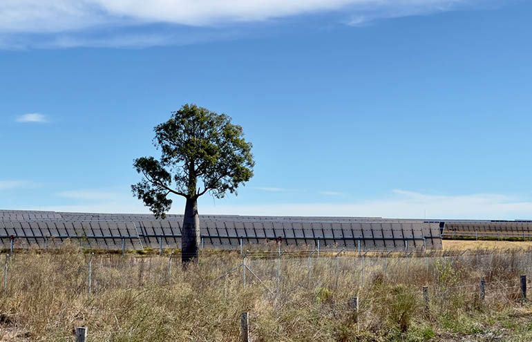 Precinct Urban Planning | Expert Town Planning & Development Services