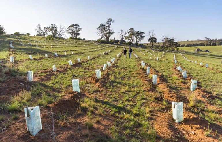 Precinct Urban Planning | Expert Town Planning & Development Services