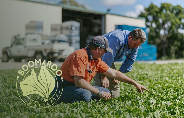 Precinct Urban Planning | Expert Town Planning & Development Services