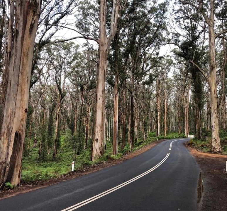 Western Australia Tours - O'Shannessy's Quality Tours