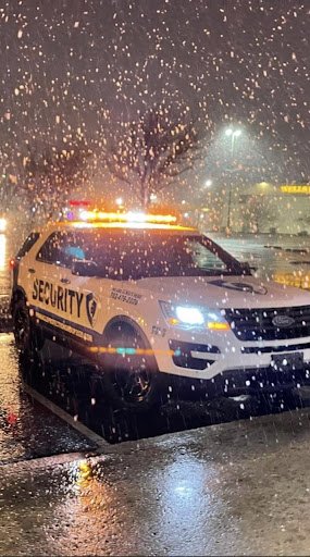 Pinnacle Protection Group | Las Vegas Security Guard Services - NV