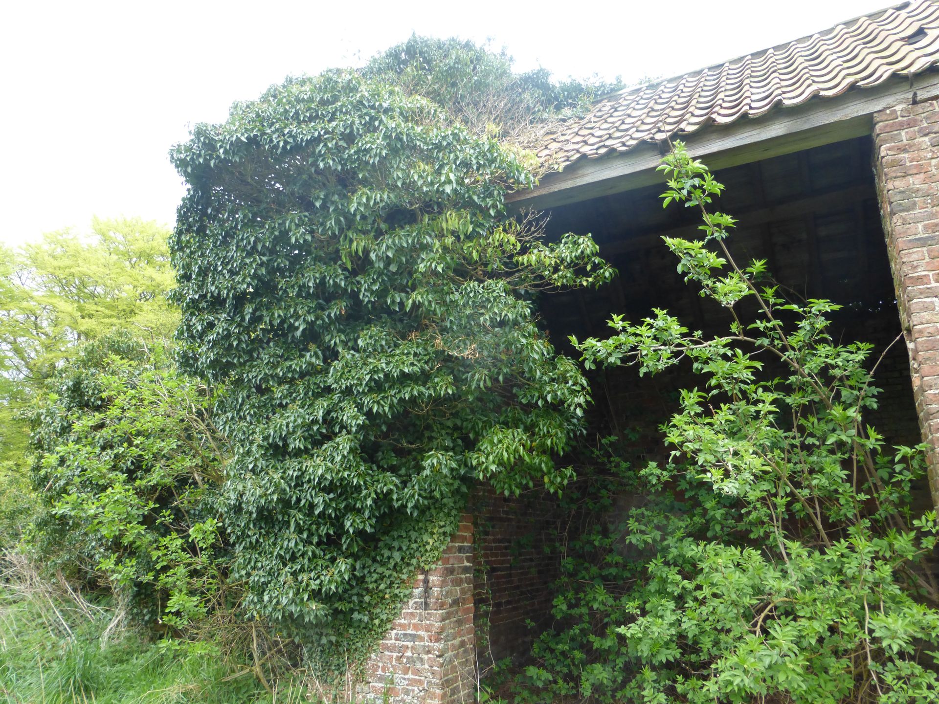 Stephen Pickering - Traditional & Modern Building Services